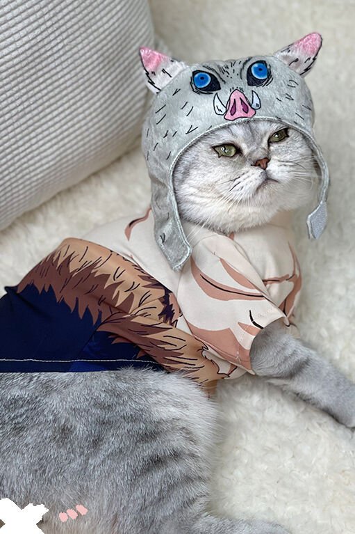Demon Slayer Inosuke Hashibira Costume For Cats and Small Dogs ...